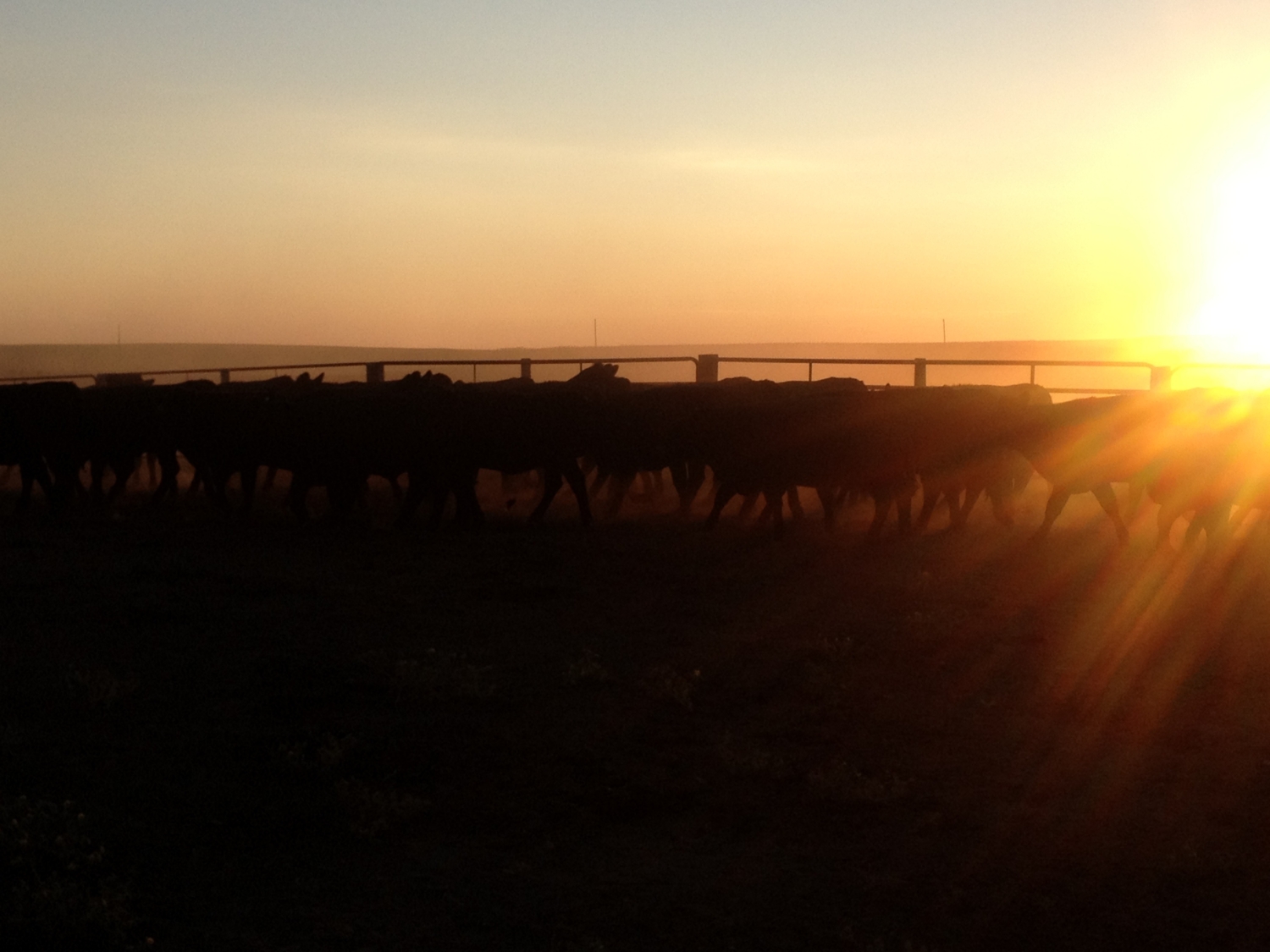 About Us - Krebs Ranch