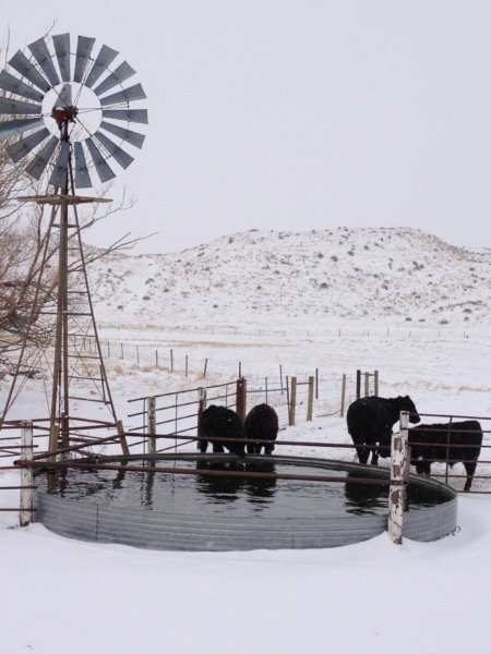 About Us - Krebs Ranch